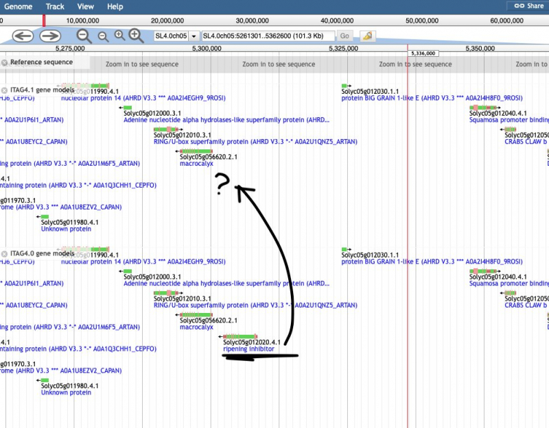 GFF/GTF files - TomsBio Lab